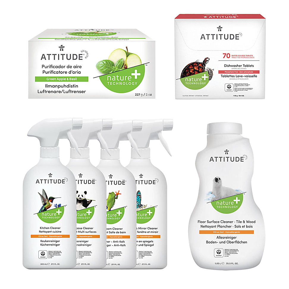 Attitude Clean House Kit | Big Green Smile